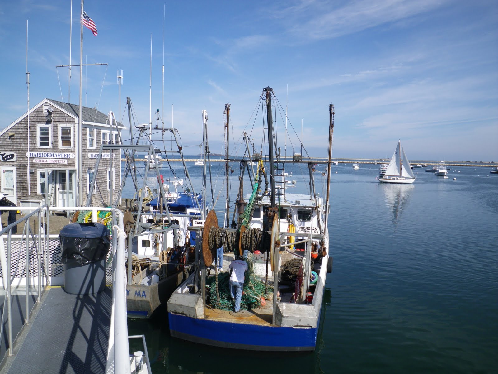 Frogma: Words Words Words! Cape Cod Trip (Part 1, as it happened to ...