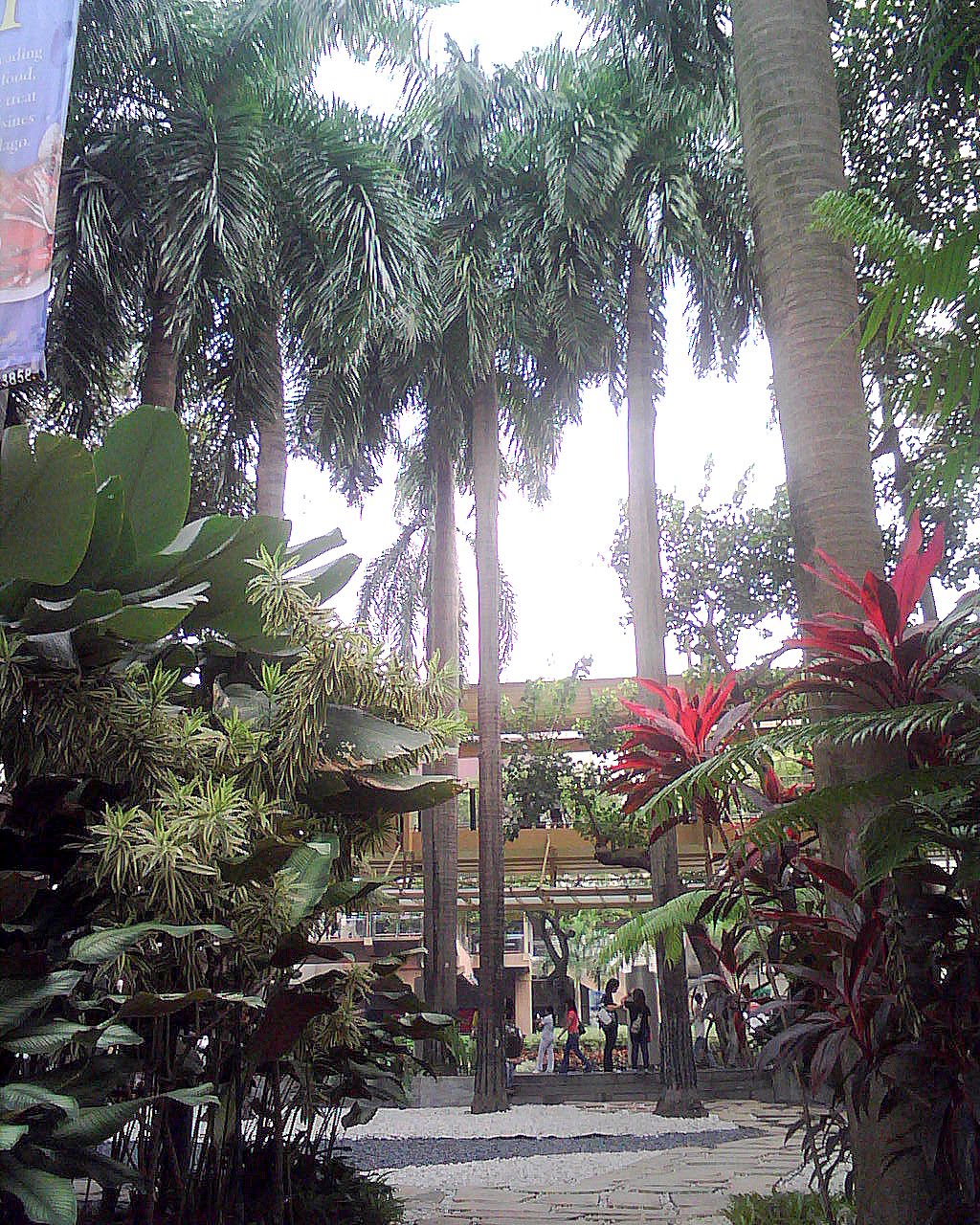 Stop and Smell The Roses: Communing With Nature, Makati