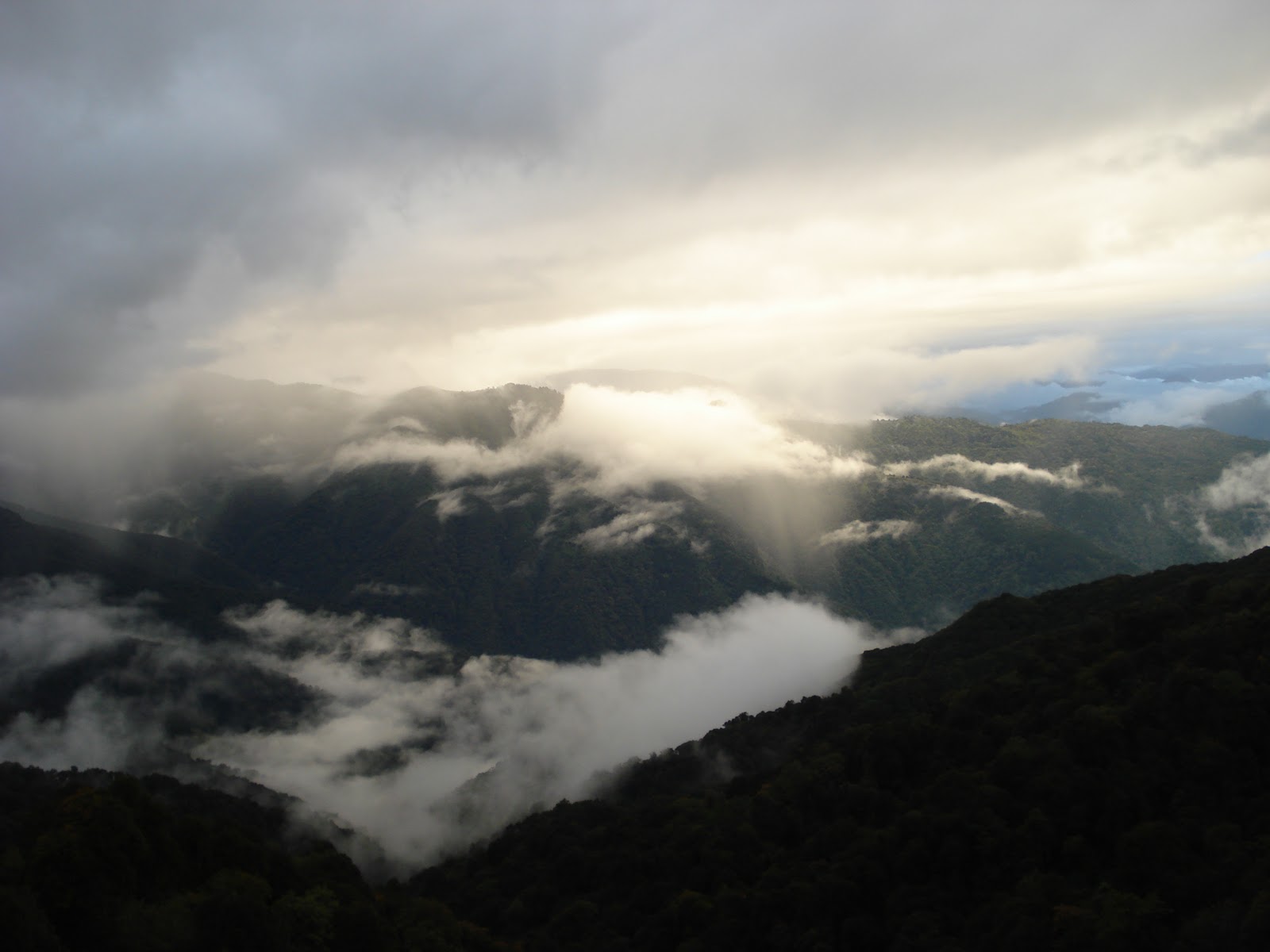Online Article: Sandakphu Trekking with photos [Manebhanjan -> Tumling ...
