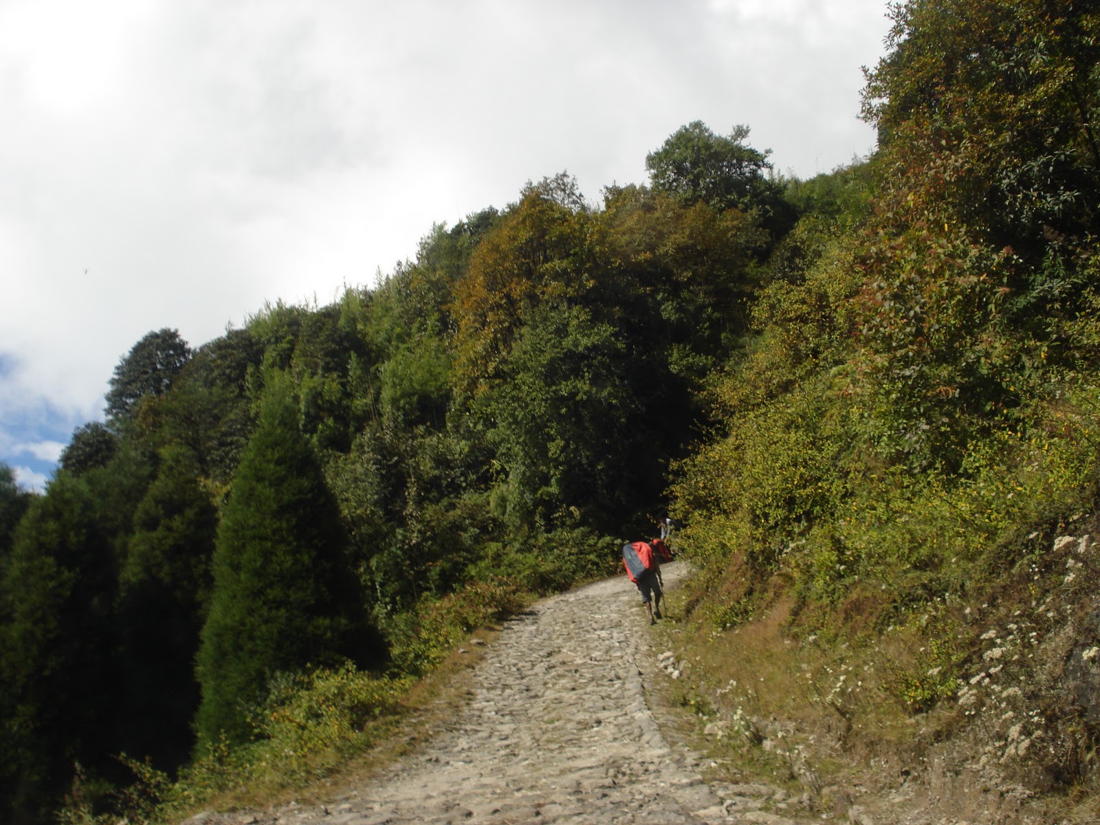 Online Article: Sandakphu Trekking with photos [Manebhanjan -> Tumling ...