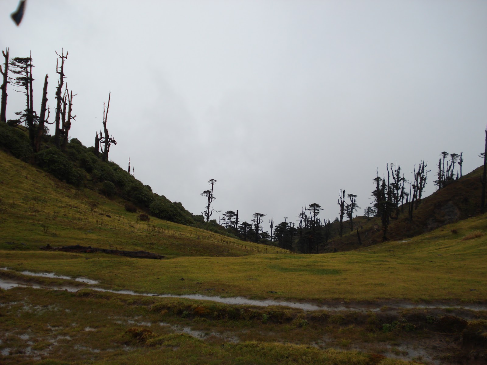 Online Article: Sandakphu Trekking with photos [Manebhanjan -> Tumling ...
