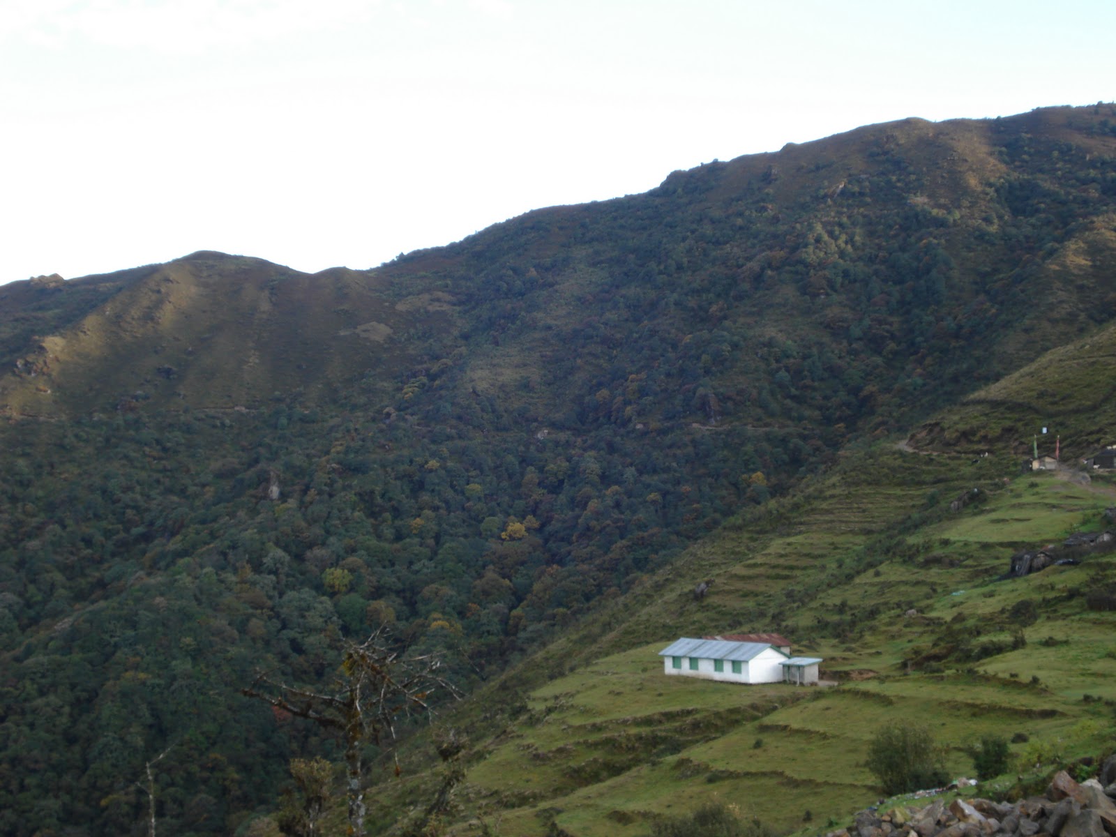Online Article: Sandakphu Trekking with photos [Manebhanjan -> Tumling ...