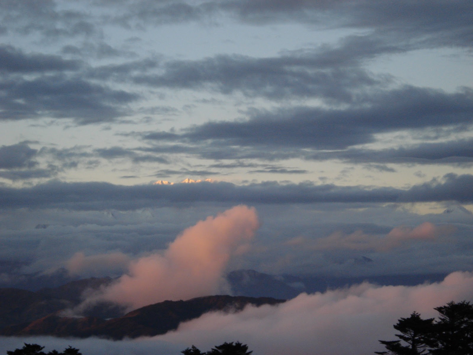 Online Article: Sandakphu Trekking with photos [Manebhanjan -> Tumling ...