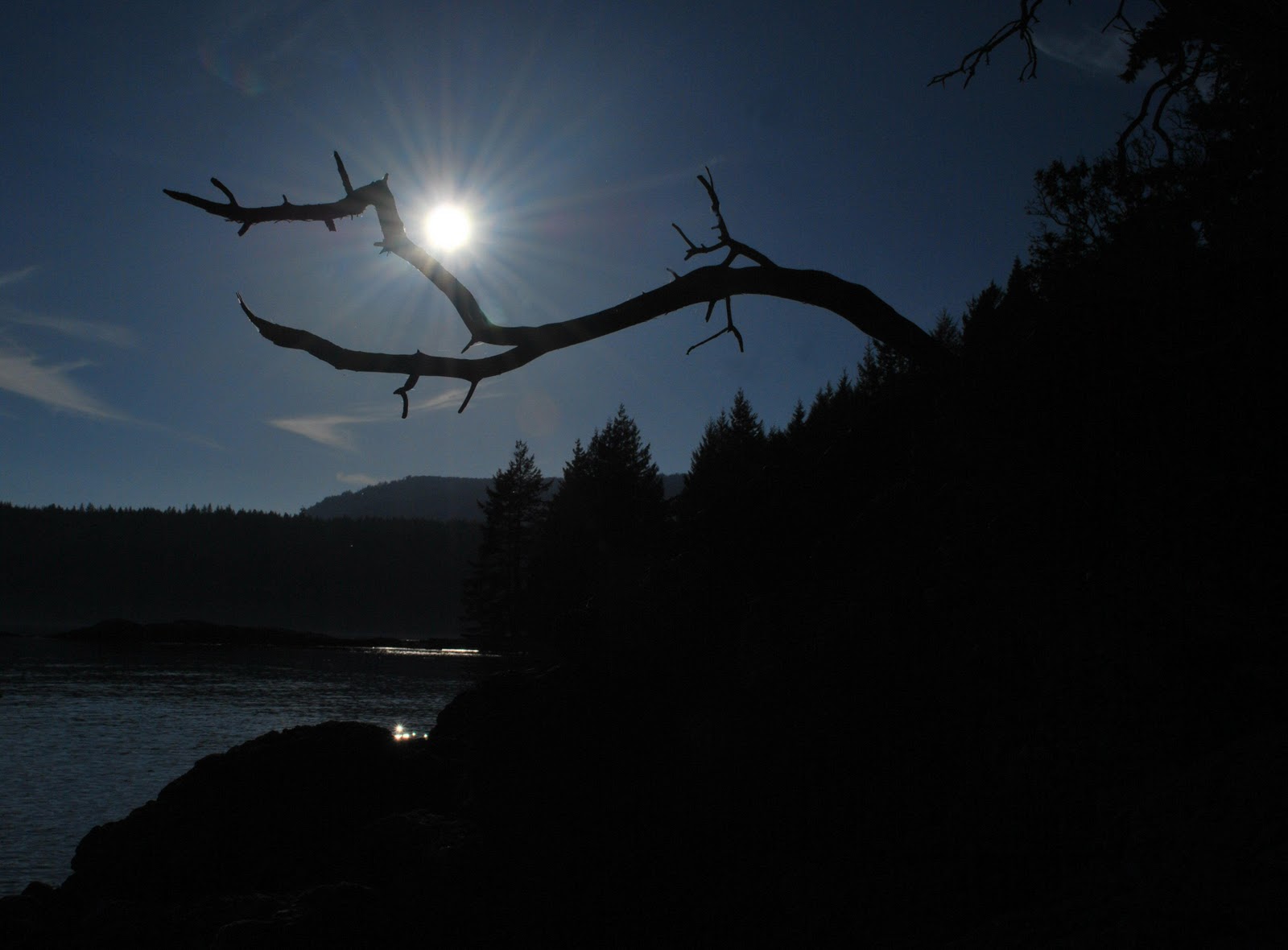 Dragongate: The gloaming.