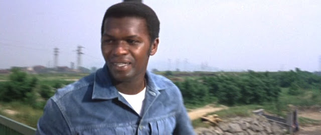 THE SELF PRESERVATION SOCIETY: HARRY BAIRD - Big William