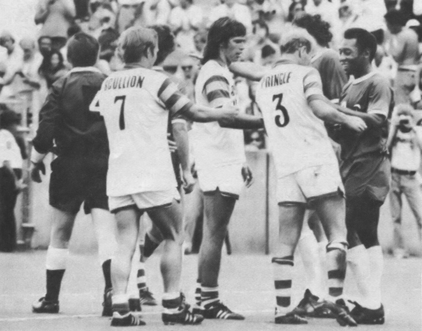 TAMPA BAY ROWDIES APPRECIATION BLOG (1975 to 1993): Rowdies Press ...