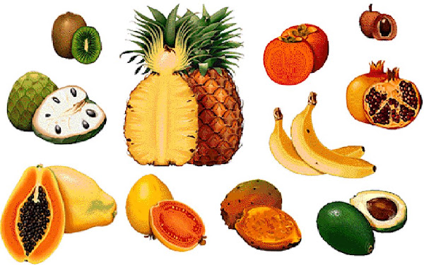 procesamiento de alimentos perecederos: Seña