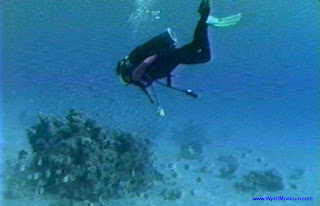 Discovery News: Chariot Wheels Discovered in the Red Sea - Part 1