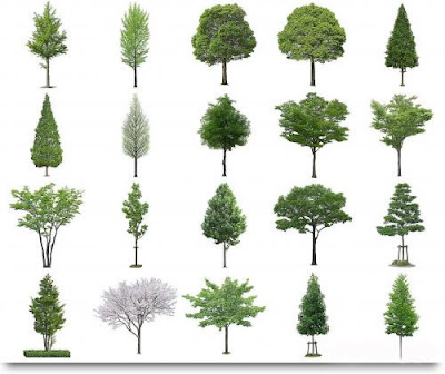 Arboles vectorizados gratis - Imagui