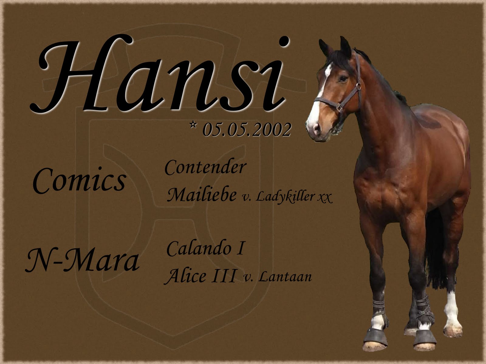 Hansi & Me...: Hansi...