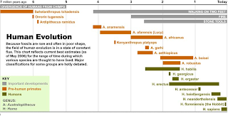 Science and Evolution: Neanderthal Timeline