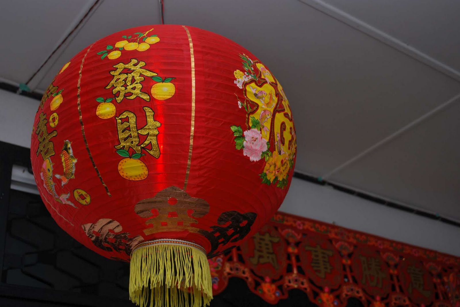 Journey of A Medie: On the Burnt Tang-Lung