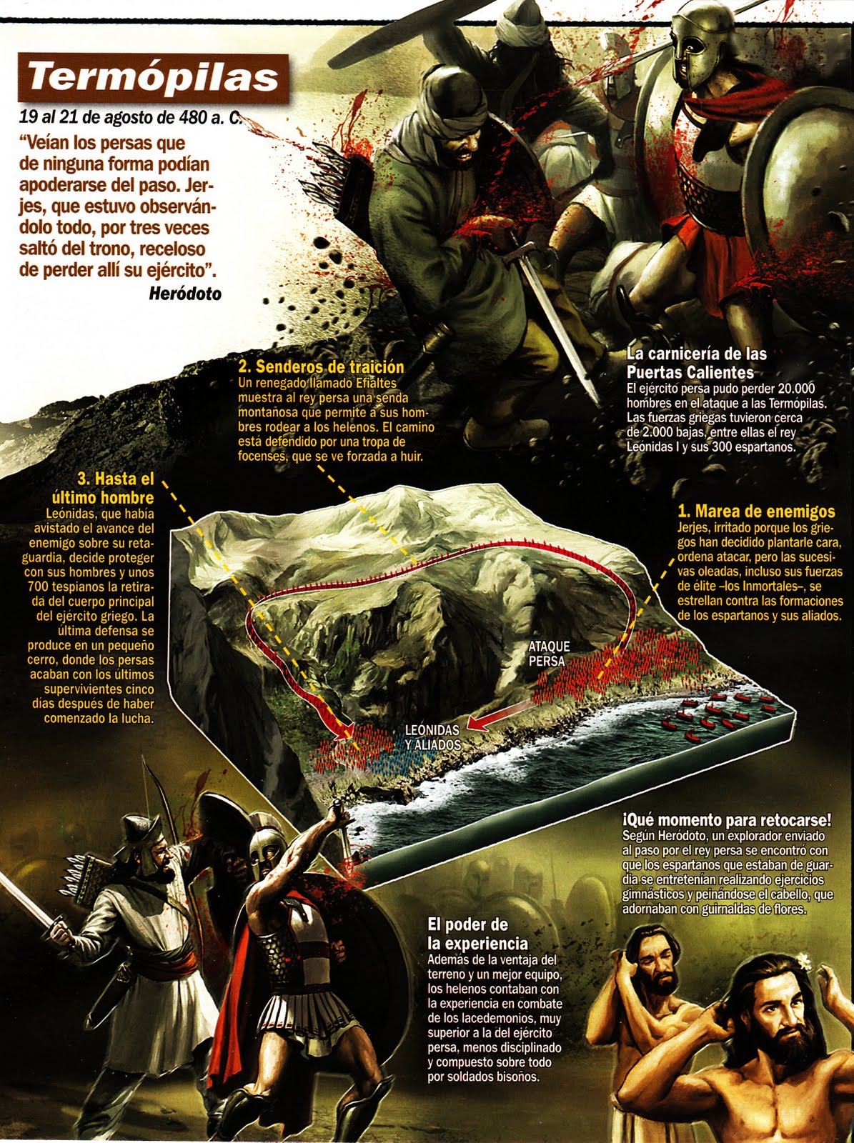 La batalla de las Termopilas | Ancient world history, Greek history ...