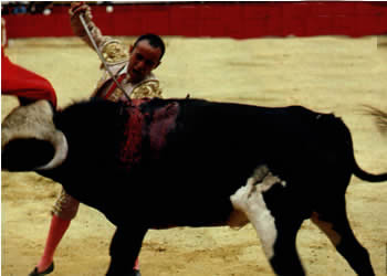 EQUILÍBRIO: TOURADA - UM RITUAL...MACABRO