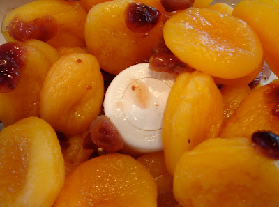 From Which Things Grow: Chew on This | Homemade Apricot Fruit Roll Ups