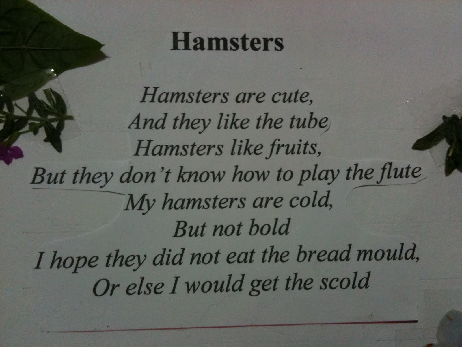 Agnes Lim: Charmaine's Poem on Hamster - Jan 2011
