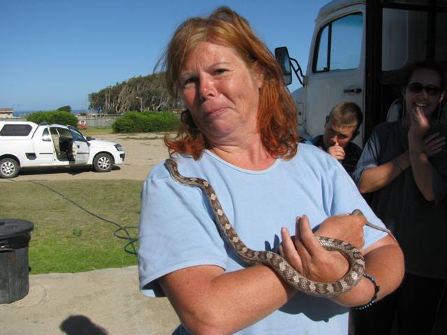 My Journey: BILTONG AND POTROAST DIKDERM