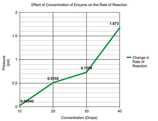 Chapin's Bio Blog: Enzyme Lab and Graphs