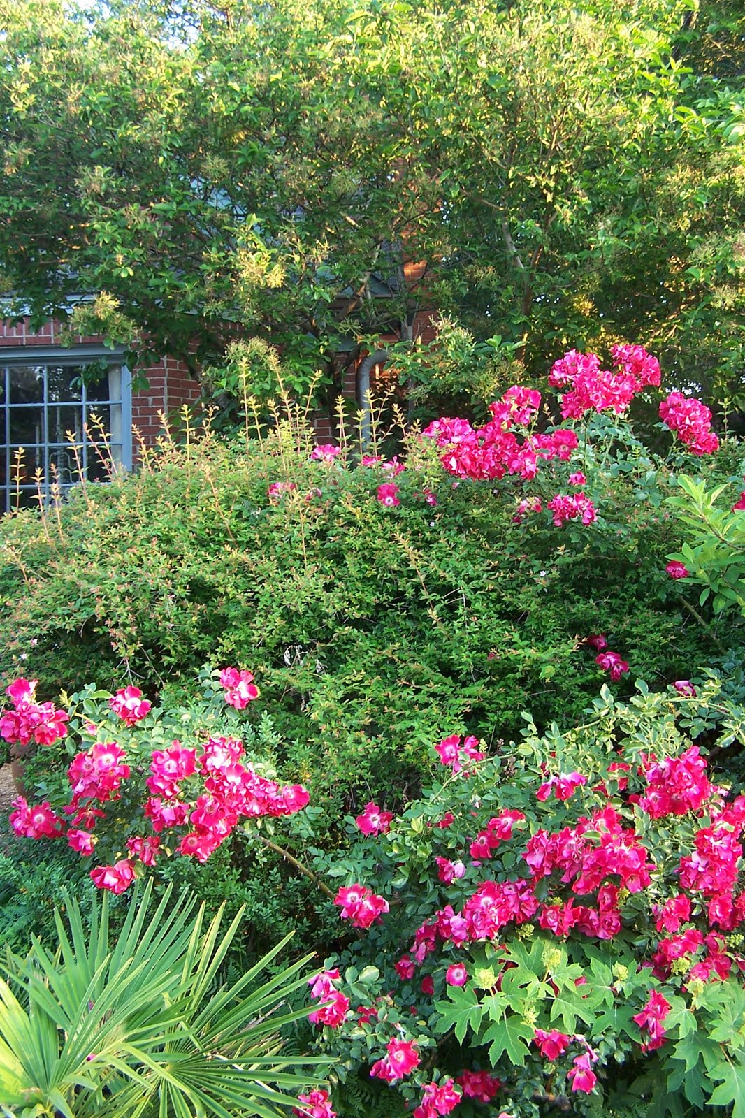 TARA DILLARD: Outside & Inside A Hedge