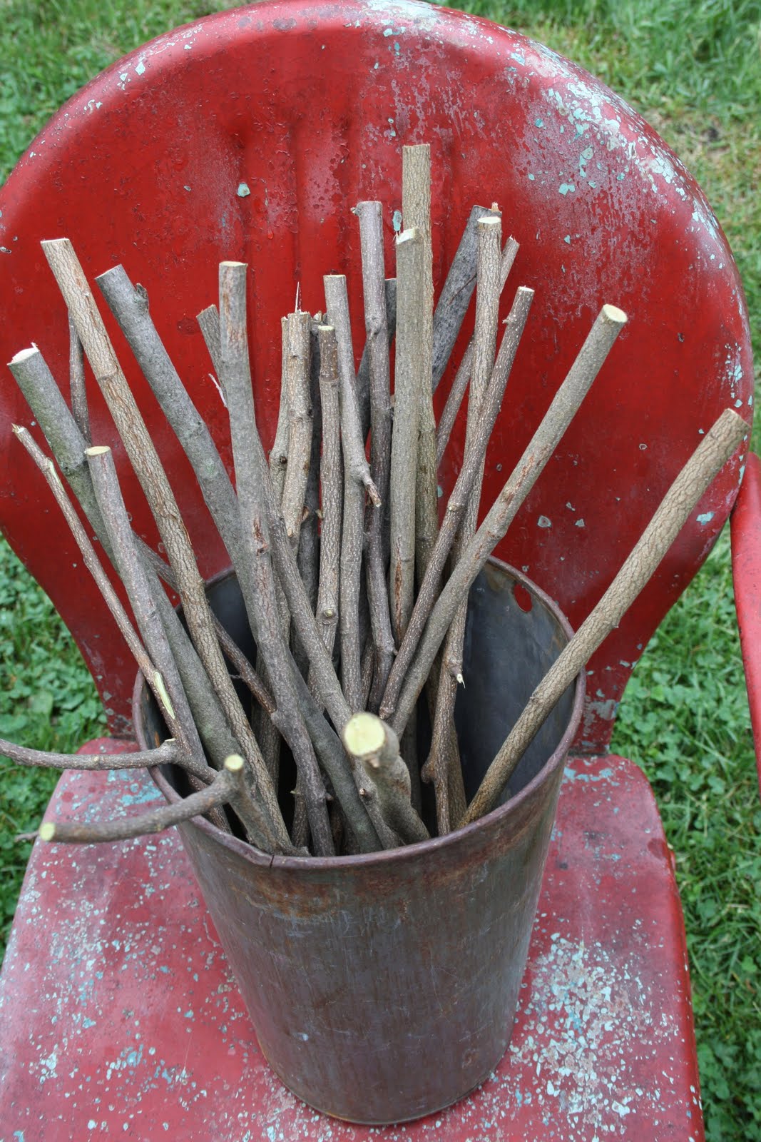 Twig and Toadstool: It's Party Week...Ruby Maude turns 7 today...come ...