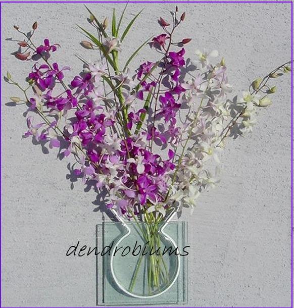 .. cikjahonlineflowers: More Lines with Fresh Flowers ~ I-Shape and ...