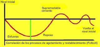 EDUCACIÓN FISICA: ¿ A que se refiere el proceso de supercompensación
