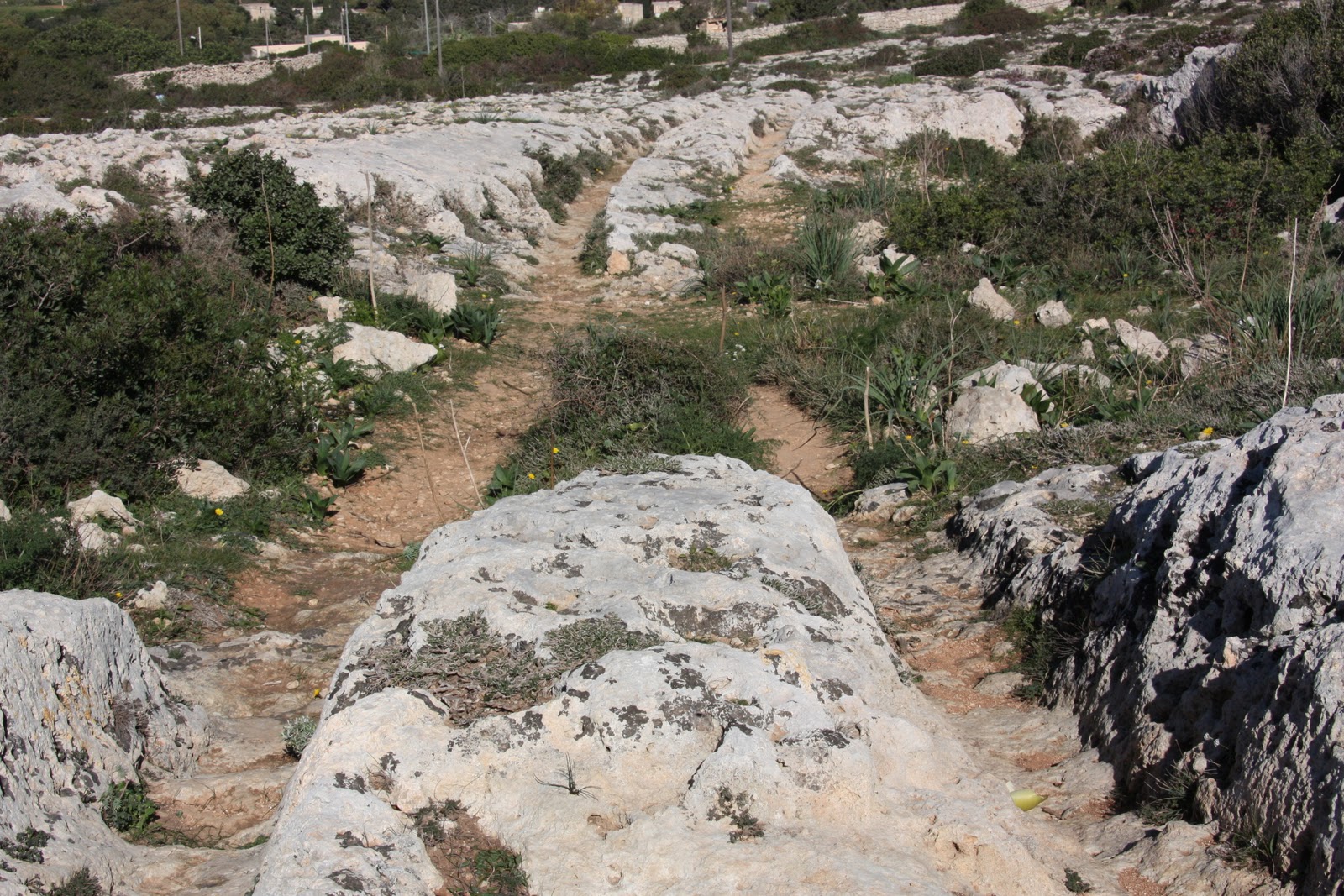 The Stones: Cart Ruts