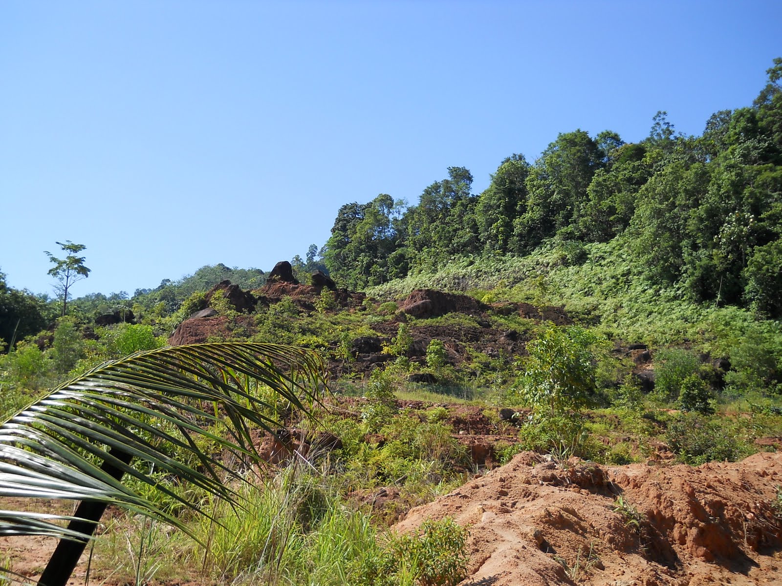 NGINAP-SRENGENGE....2007 BANGGOL DERDAP cawan grup: BERMESRA DGN SINAR ...