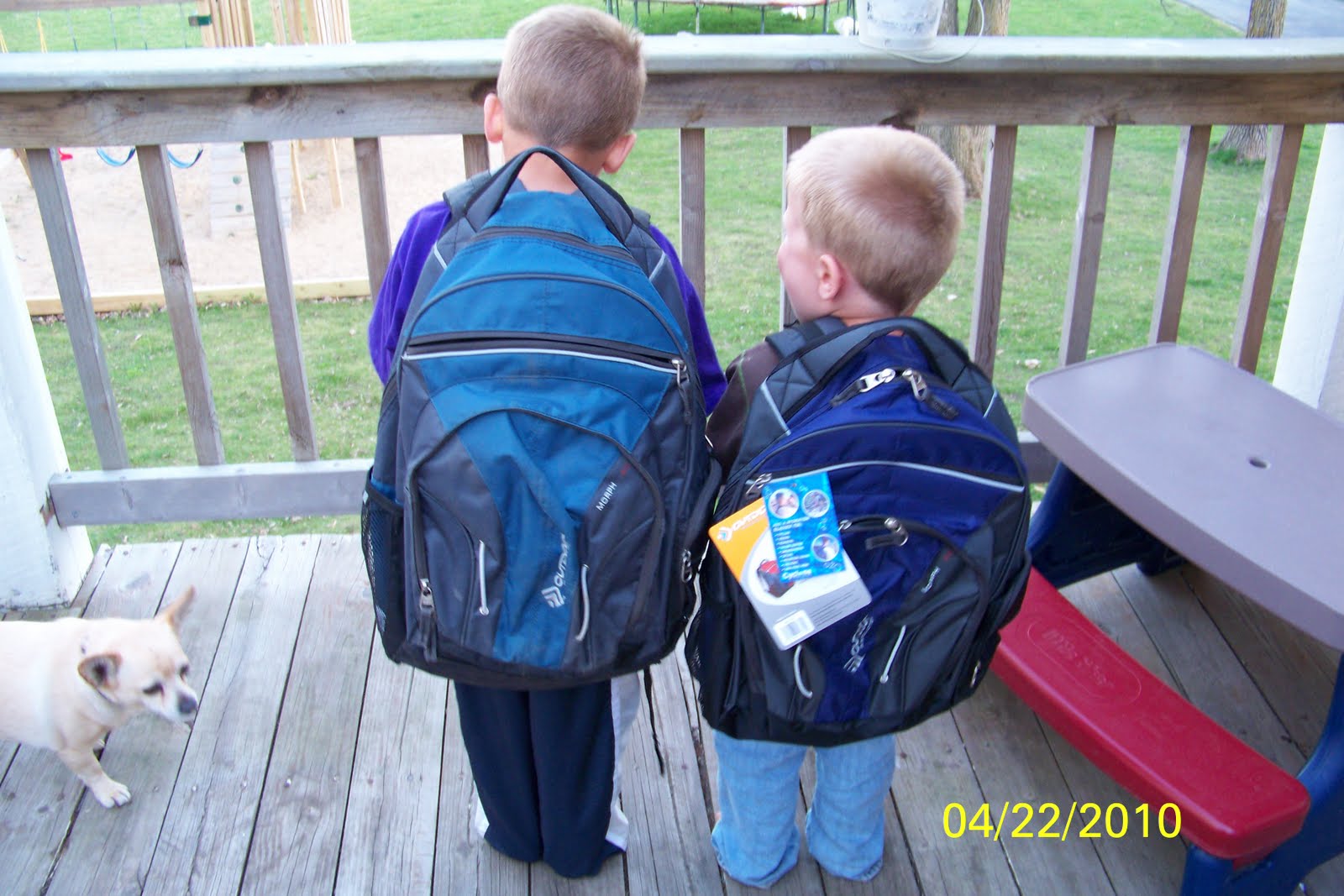 Connor's Chaos: Potty Training Success