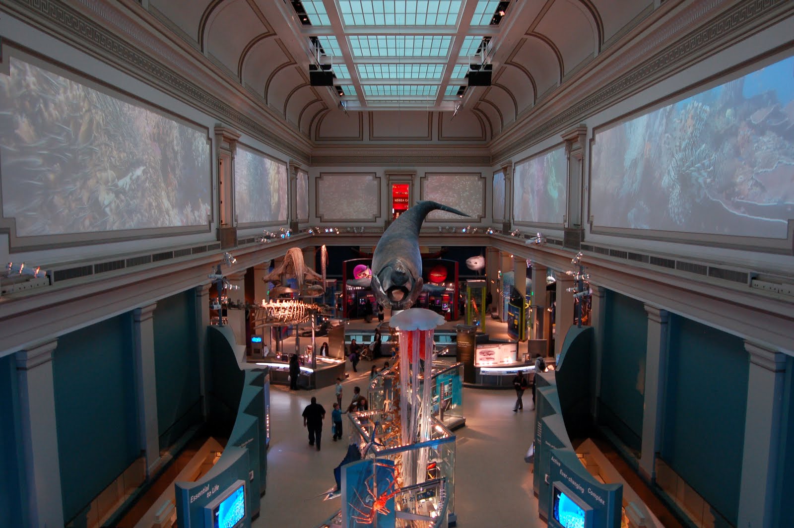 "and we're walking...": Media Creates Flow in the Sant Ocean Hall at ...