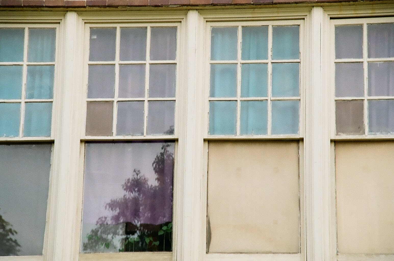 angels and people, life in New Orleans: May 2010