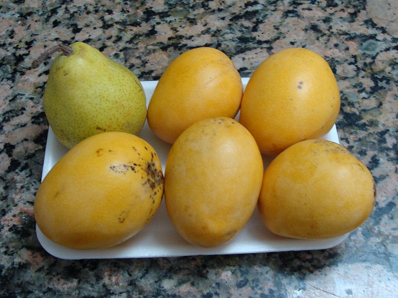 ARBOLES DE NEIVA: mango