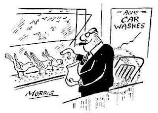 Guelph Automotive Detailing - by Diamond Detailing: Funny Car wash ...