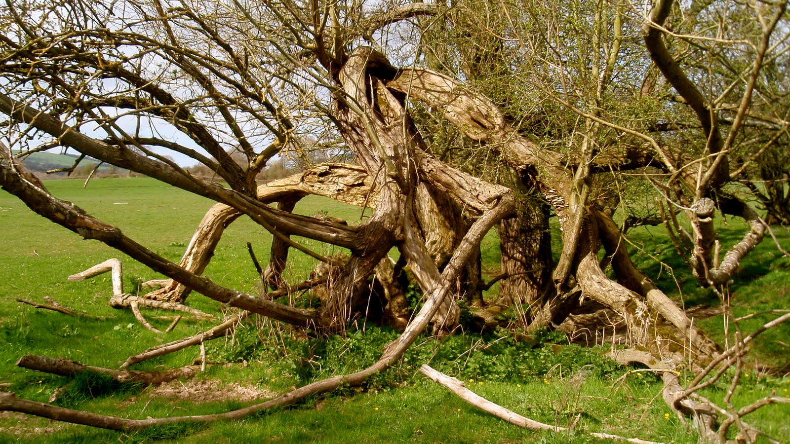 [SOURCE](TUT){LEGION-MODZ}WARP3D 420 $ROM$ R3TURNZ- cd ~/XDA/$ROM ...