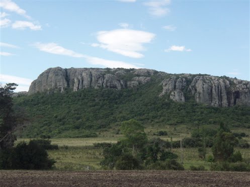 Maestra de Apoyo al Plan Ceibal