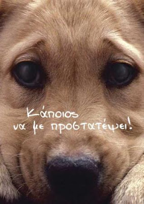 HeLLeNiCReVeNgE: ΕΚΑΝΑΝ ΣΥΝΕΛΕΥΣΗ ΓΙΑ ΝΑ ΕΚΤΕΛΕΣΟΥΝ 4 ΑΔΕΣΠΟΤΑ ΣΚΥΛΙΑ ...
