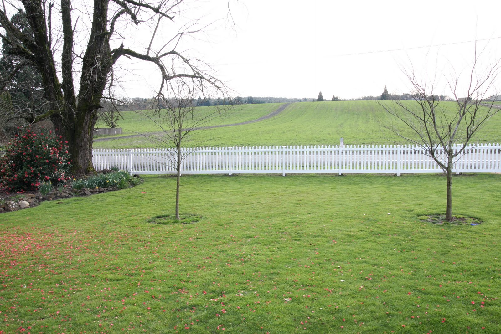 Paradise undeserved: Fence me in... please.