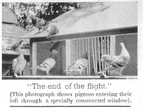 "Flags at Sea", "Ships & Ship building" and Philately.: The Royal ...