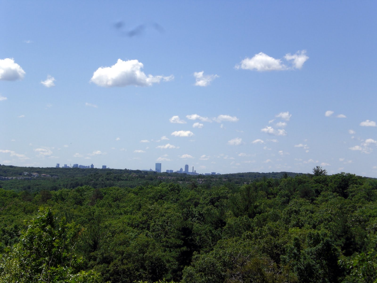 Breakheart Trail Running: Breakheart Hike