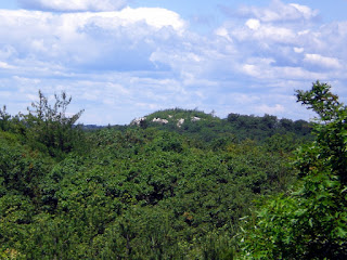 Breakheart Trail Running: Breakheart Hike