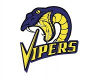 Masterskill Dodgeball Club: MEANING OF VIPERS LOGO