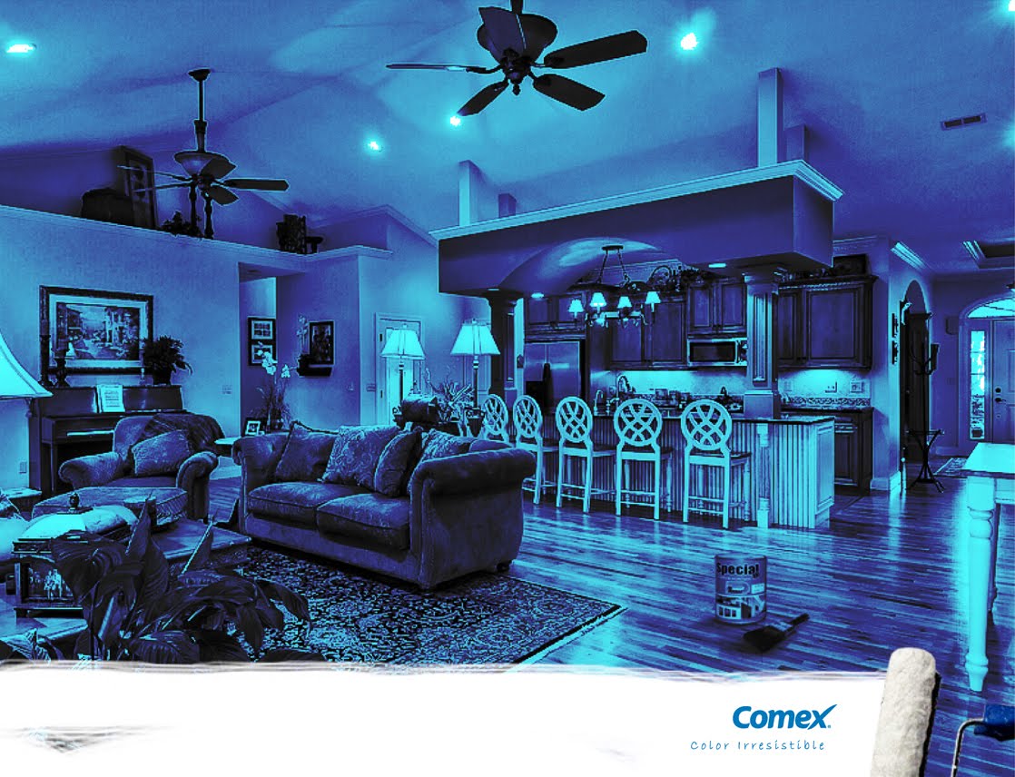 Book - Phillip Davidson: Comex - Paints