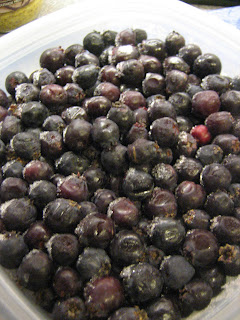 Equal Opportunity Kitchen: Apple and Saskatoon Berry Stuffed Pork Loin ...