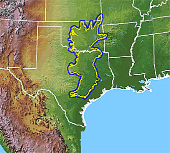 The Naked Ecologist: Watch out trees, it's a twister!