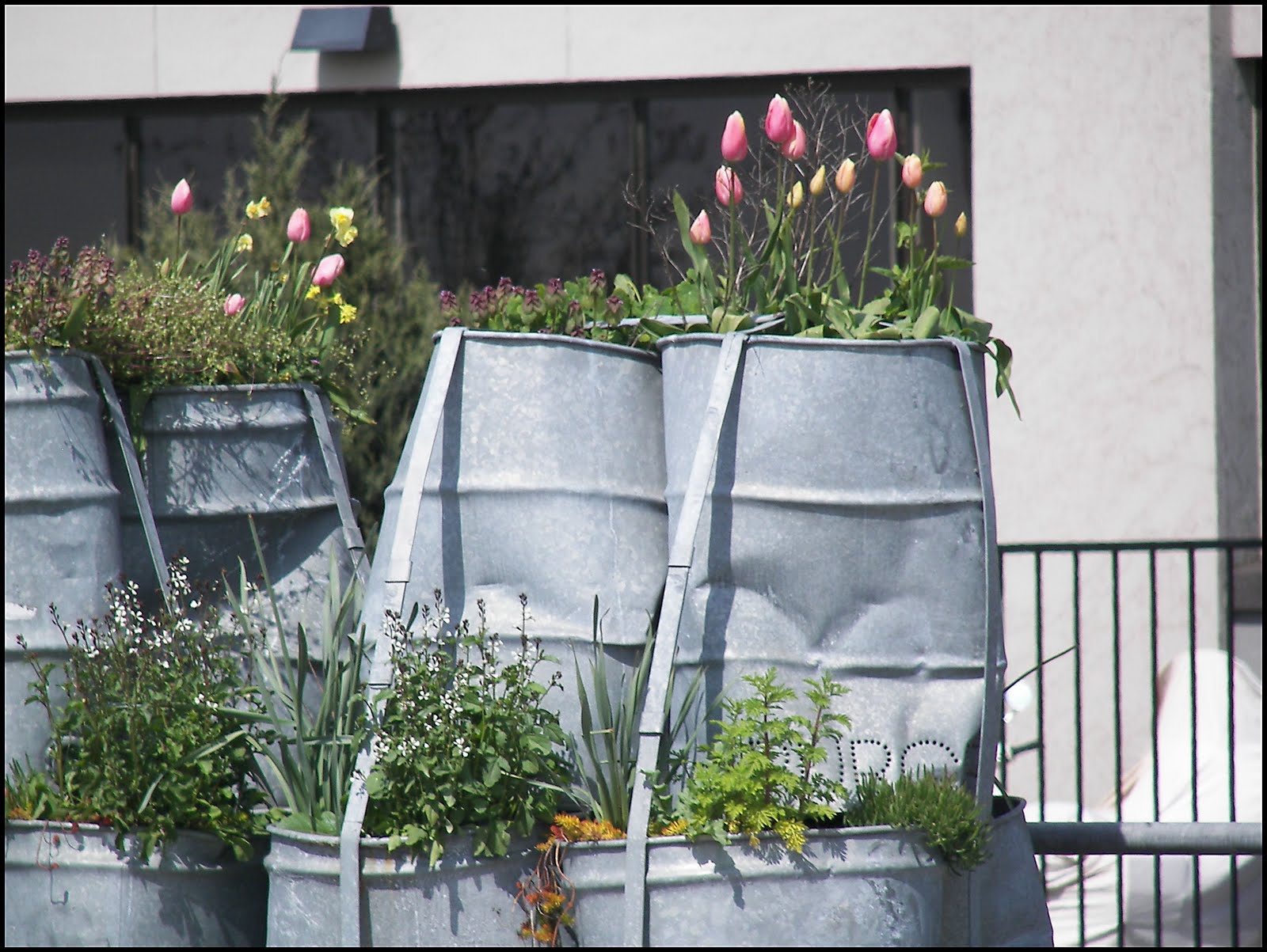 A View from the Edge: Some of Seattle's Finest