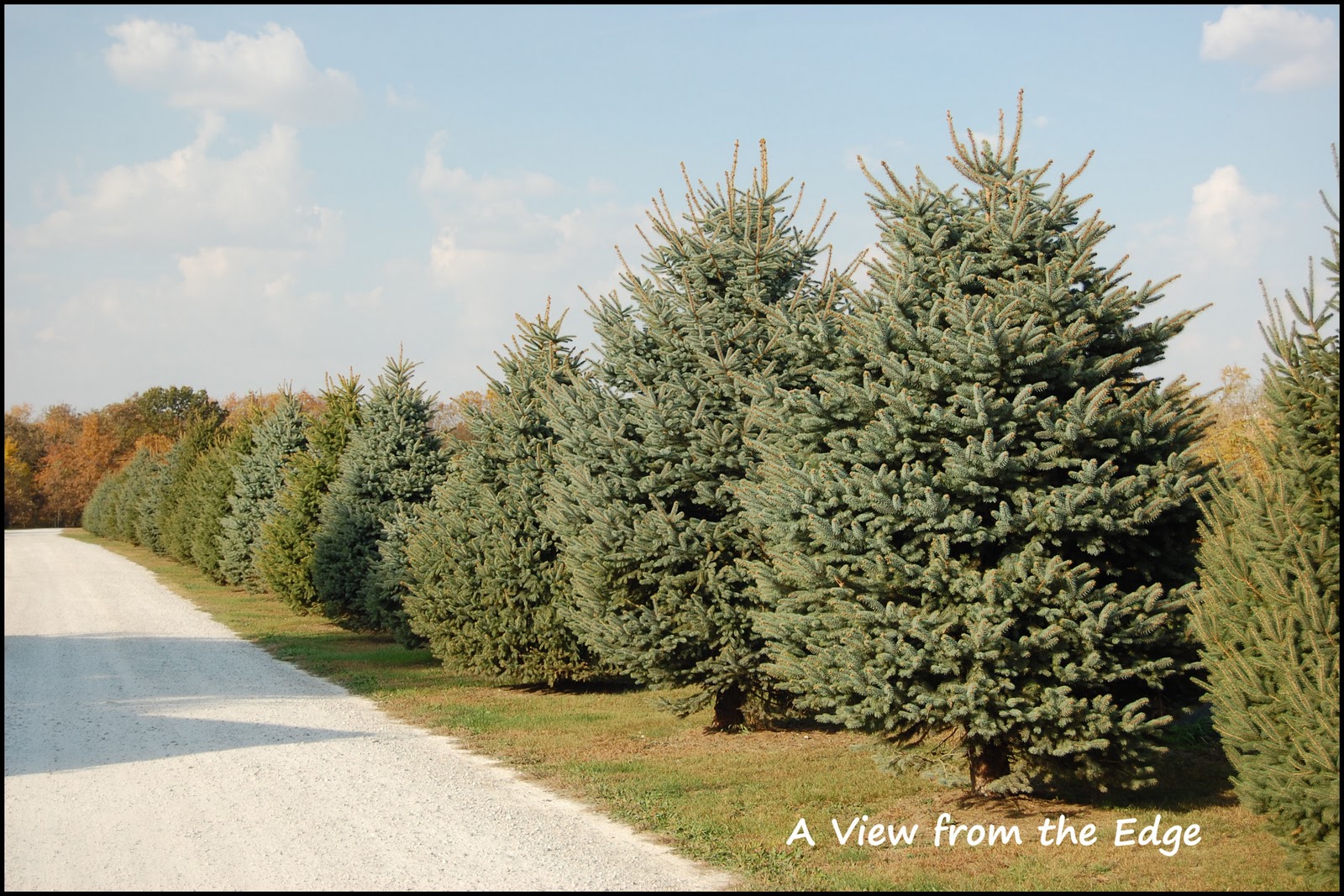 A View from the Edge: Things in a Row - Part One