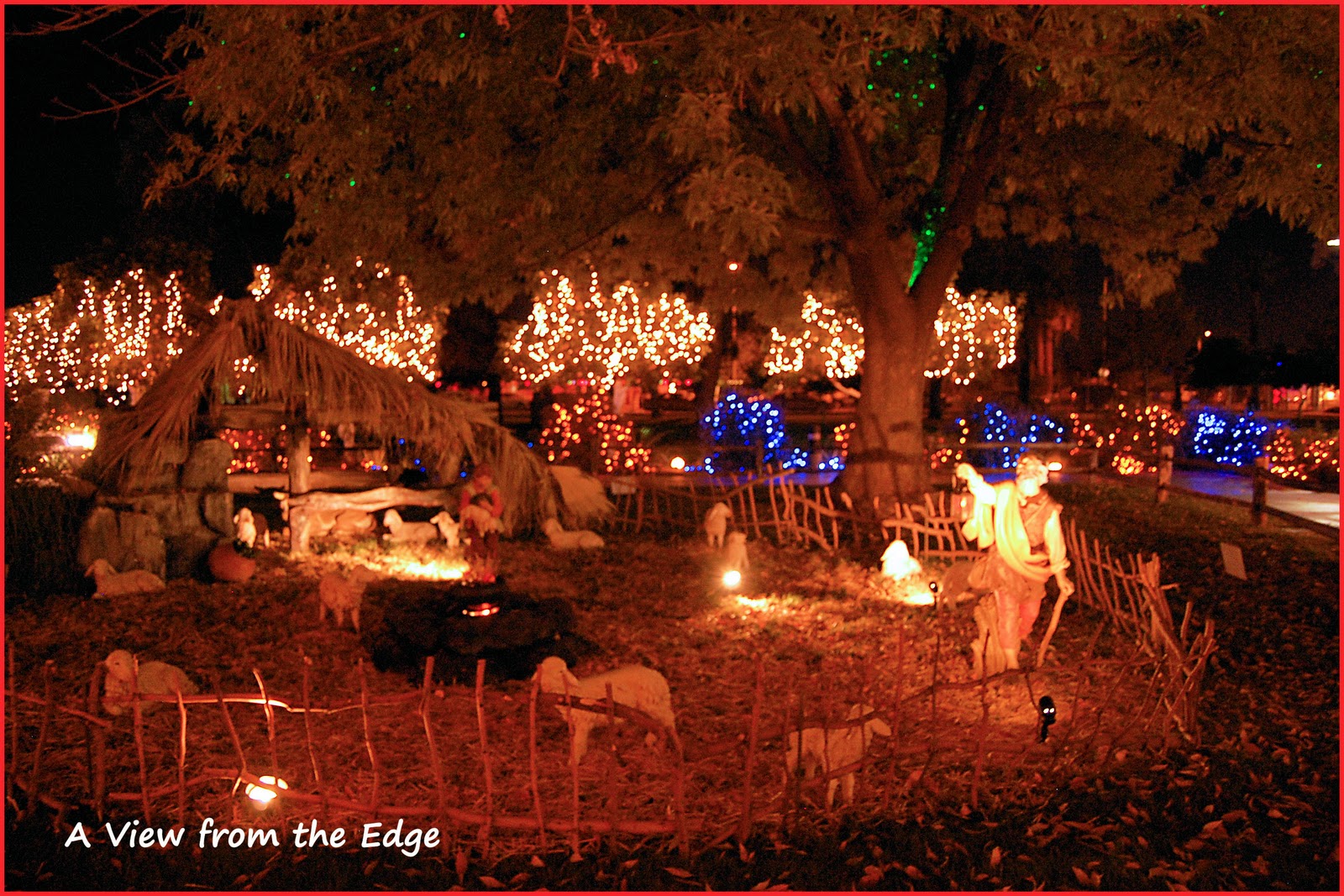 A View from the Edge: Merry Christmas Mormon Style!