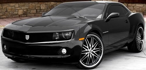 Black Feline: A Cool Black Camaro That Perfectly Fits A Cool Black Cat