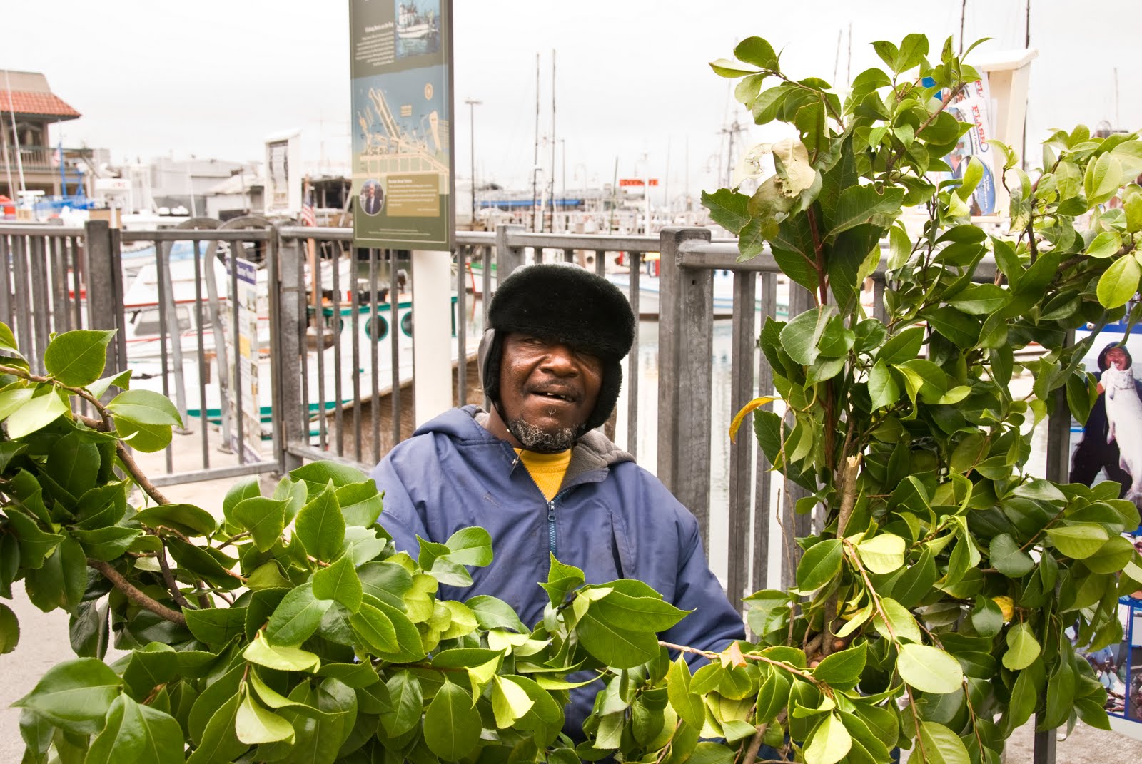 The Beard Hunter: The Embarcadero's Bush Man
