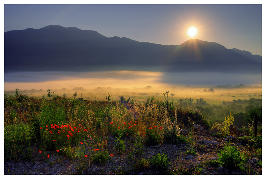 Morning Mist ~ TRUE CONFESSIONS